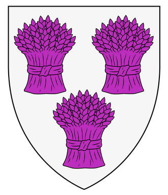 House of Comyn - WappenWiki
