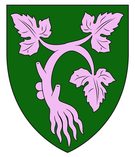 File:Drazic.svg - WappenWiki